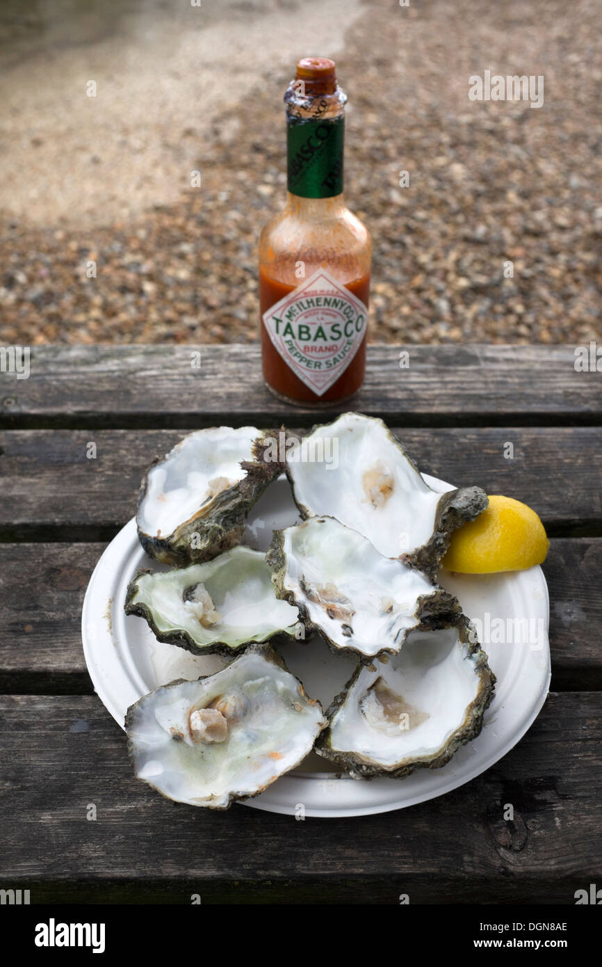 Empty whitstable oyster shells hi-res stock photography and images - Alamy