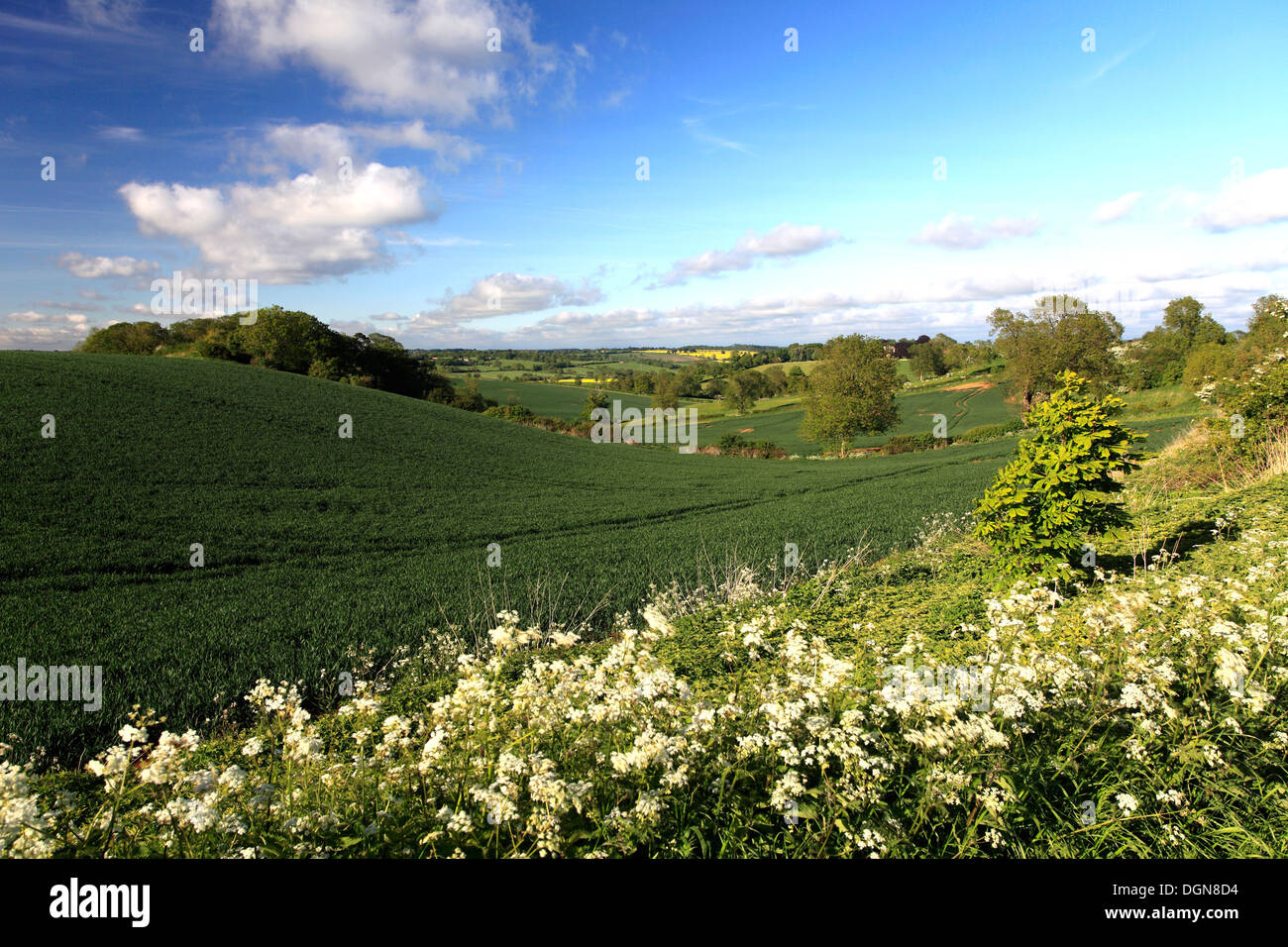 Welland valley hi-res stock photography and images - Alamy