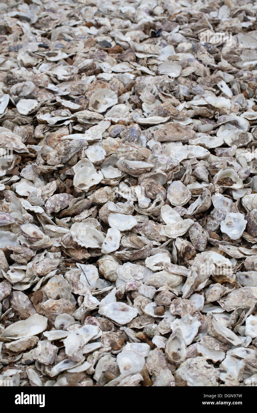 Oyster piles hi-res stock photography and images - Alamy