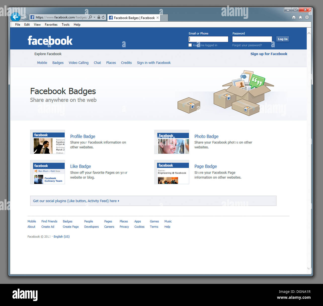 Social Networking Profile