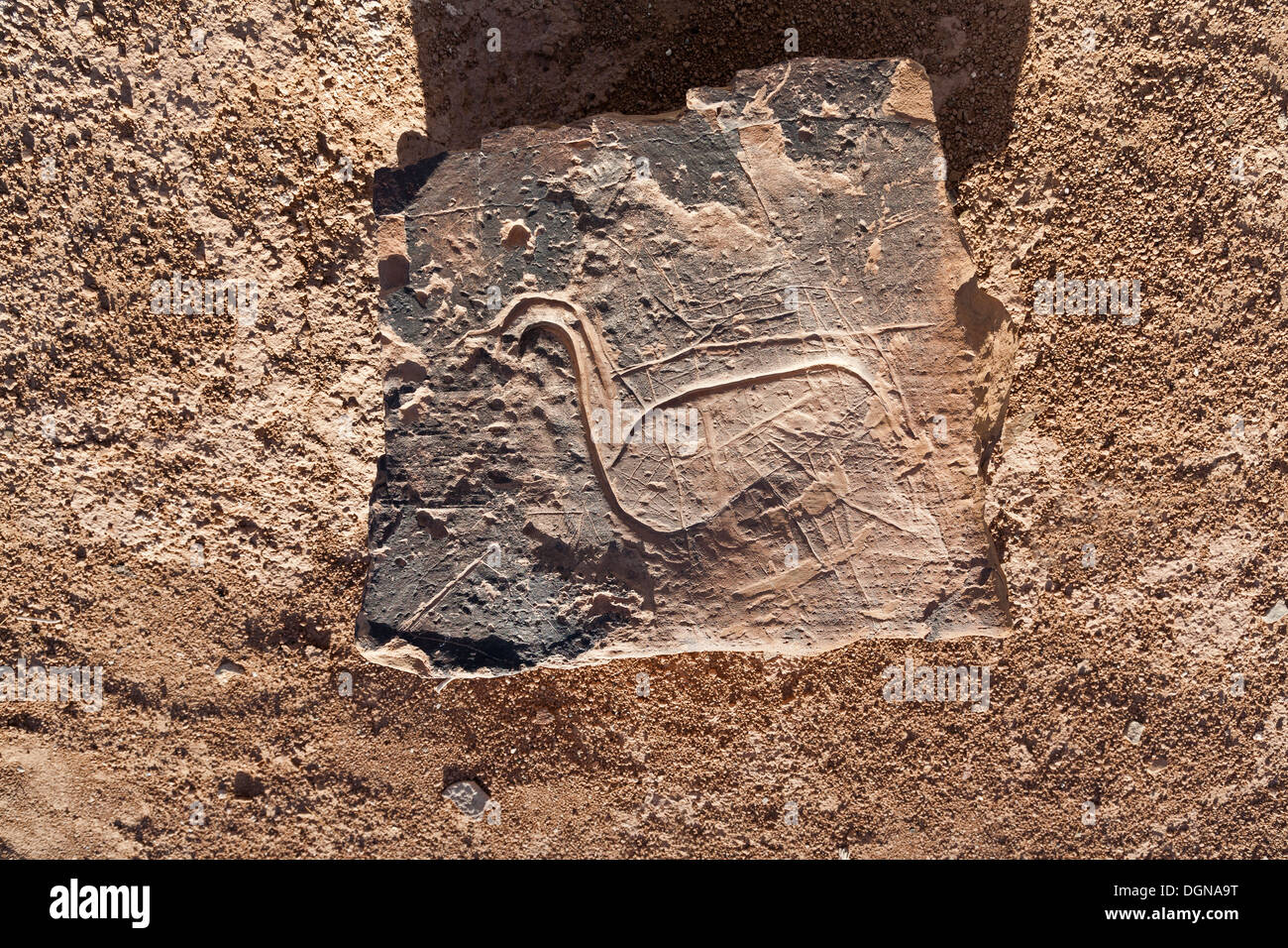 Prehistoric rock carvings at Oued Mestakou on the Tata to Akka road in ...