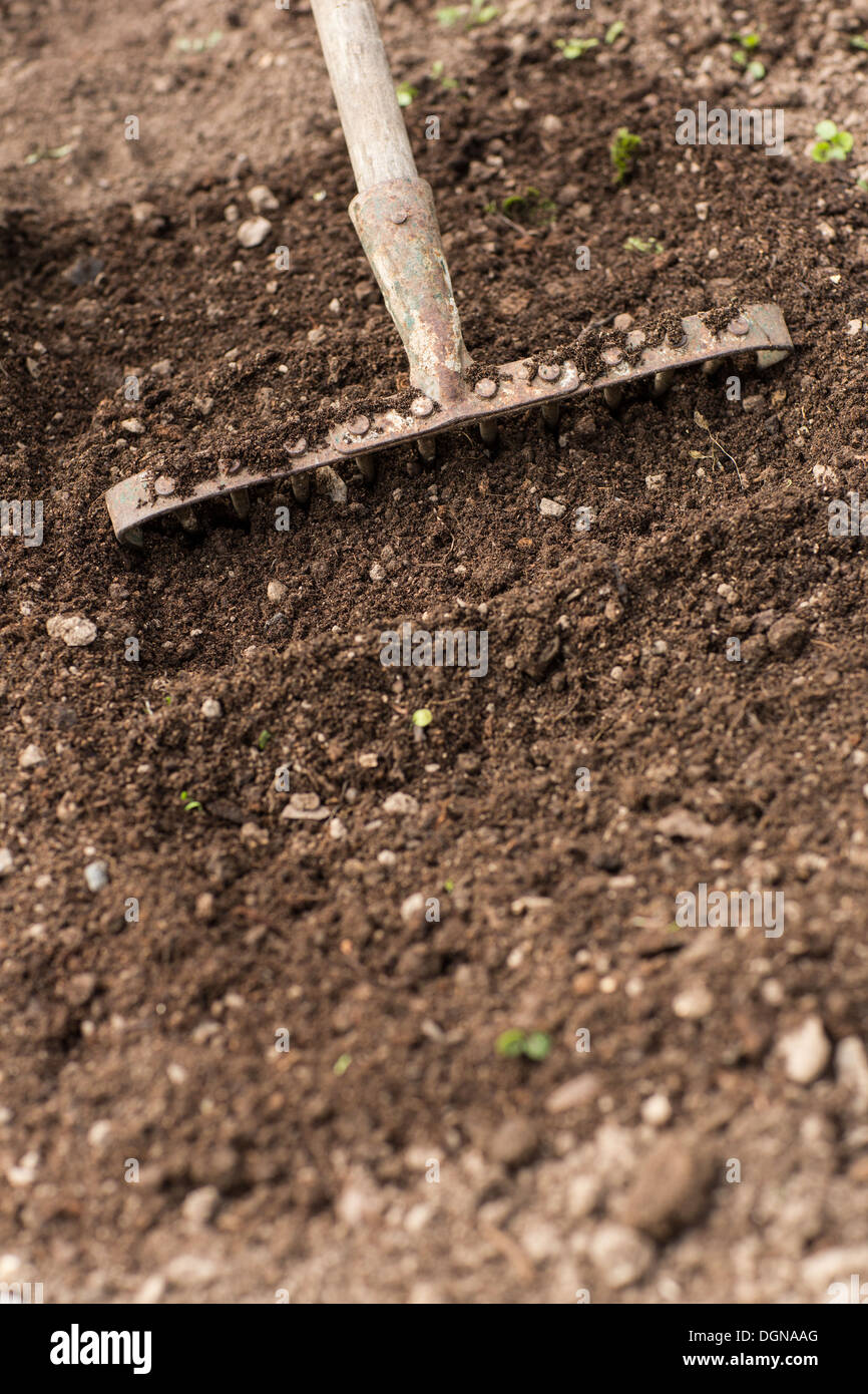 A rake being used Stock Photo - Alamy