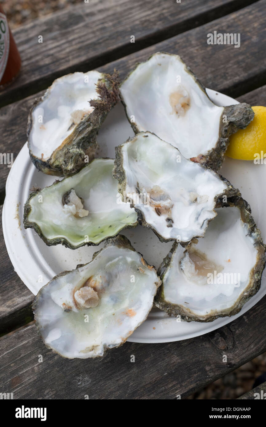 Plate of Empty Oyster Shells with lemon and tabasco Stock Photo - Alamy