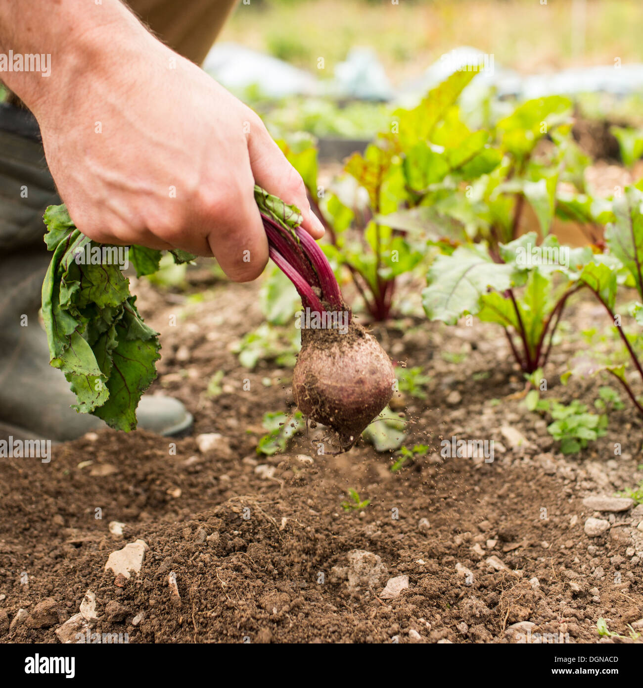 Ground man hi-res stock photography and images - Alamy