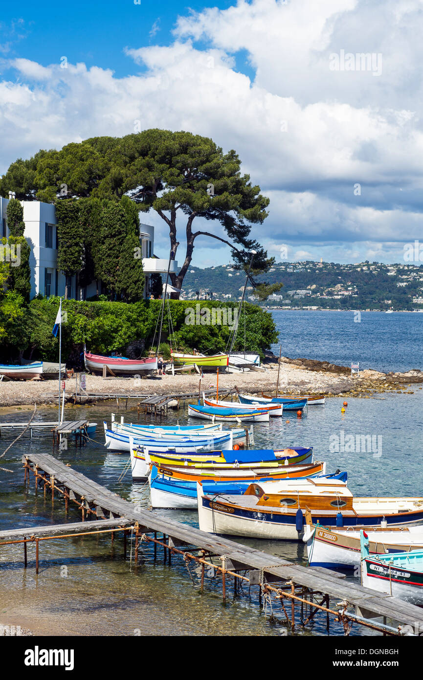 Olivette hi-res stock photography and images - Alamy
