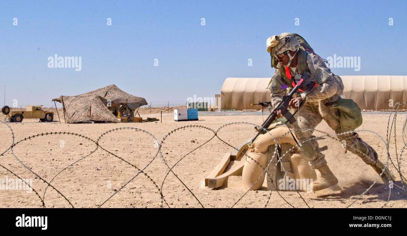 Expert Field Medical Badge Acu