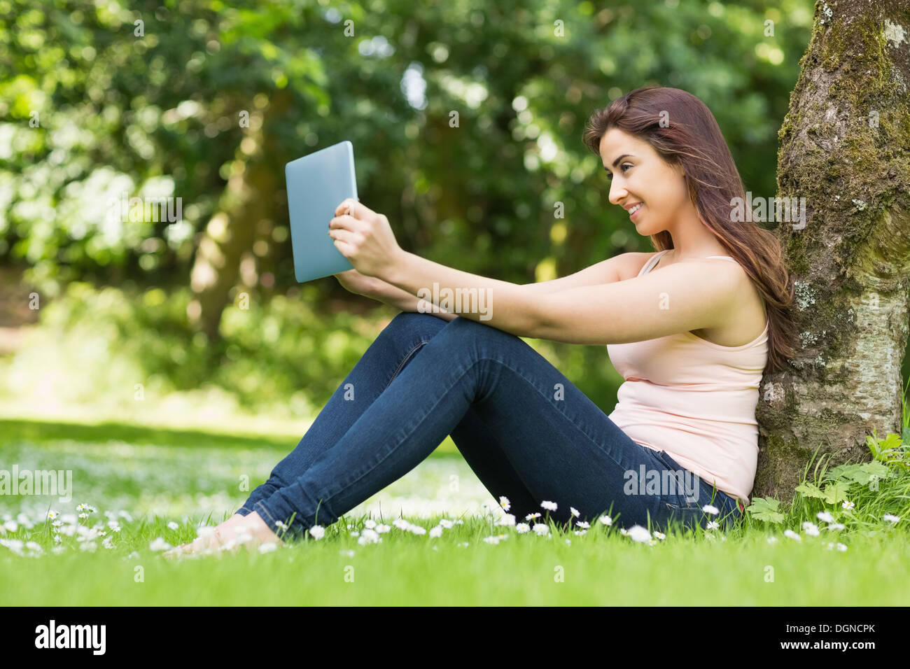 The leaning tree hi-res stock photography and images - Alamy
