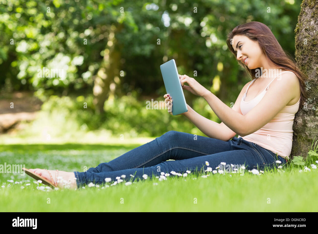 The leaning tree hi-res stock photography and images - Alamy