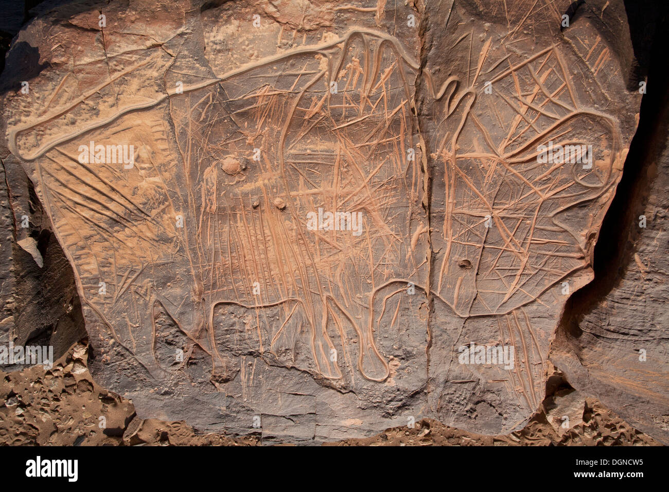 Prehistoric rock carvings at Oued Mestakou on the Tata to Akka road in ...