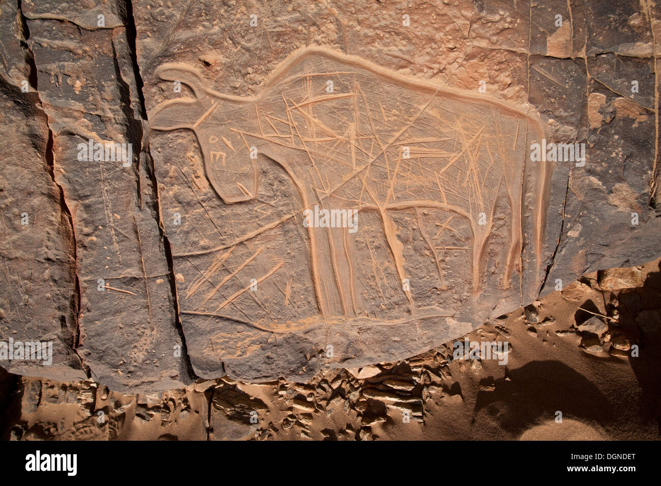 Prehistoric rock carvings at Oued Mestakou on the Tata to Akka road in ...