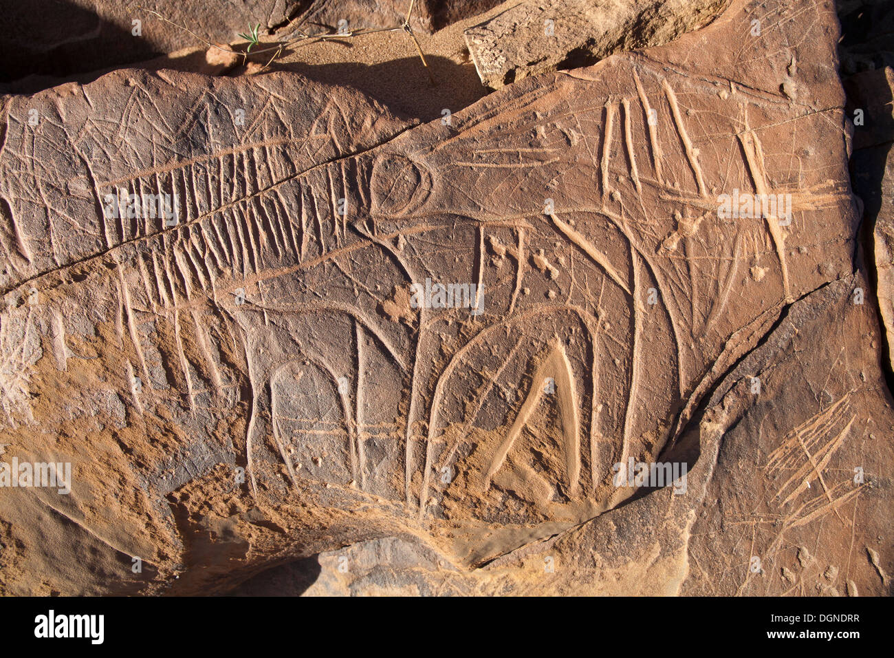 Prehistoric rock carvings at Oued Mestakou on the Tata to Akka road in ...