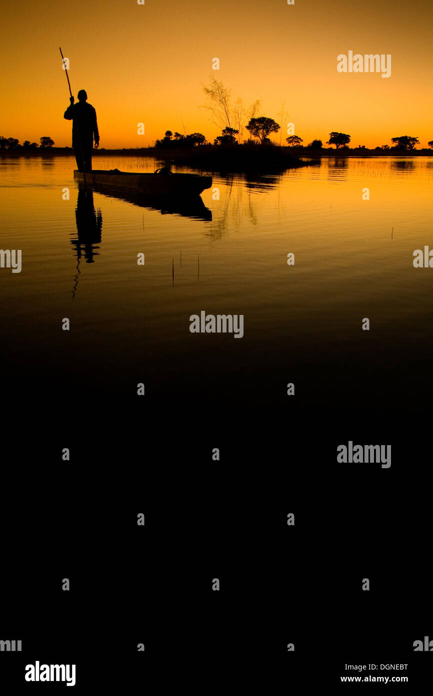 A Okavango Delta poler is a silhouette at dusk in his Mokoro Stock ...