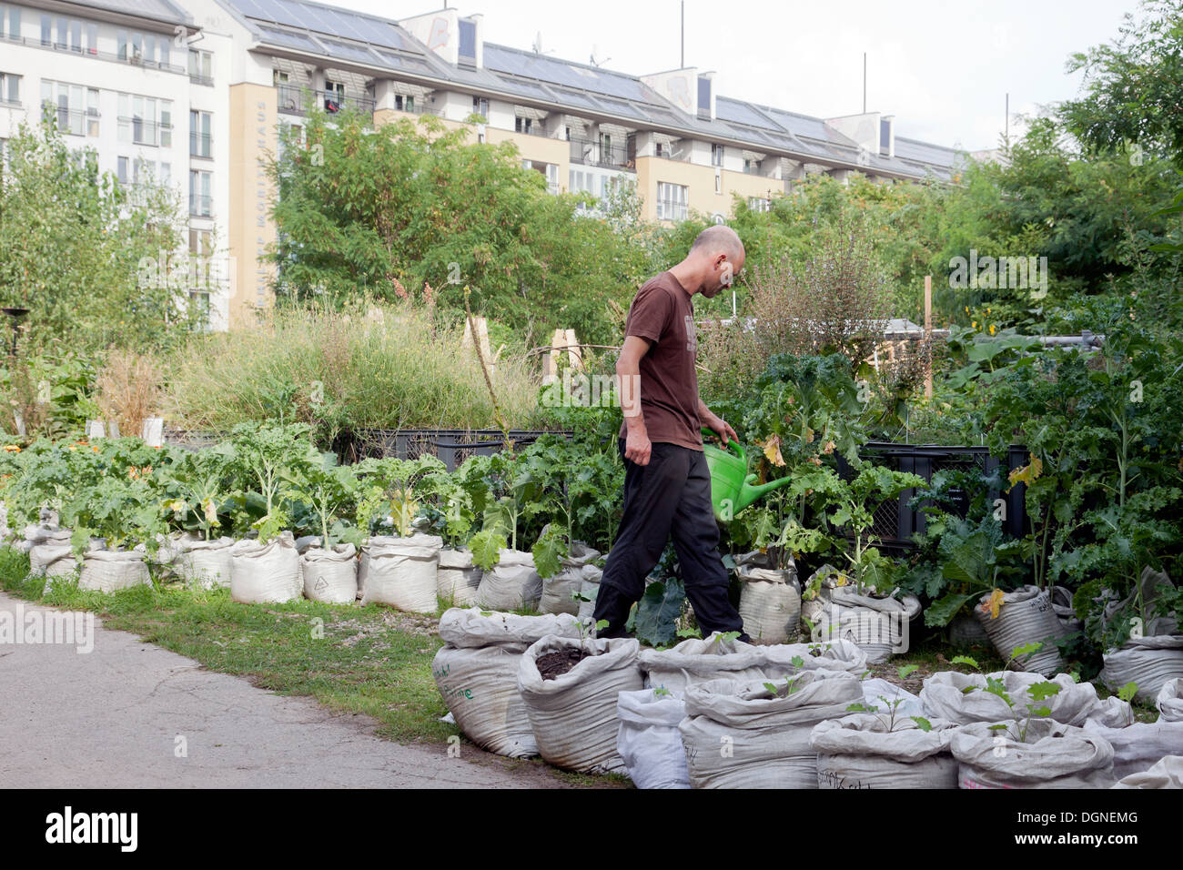Berlin, Germany, Urban Gardening: In the Princess gardens at ...