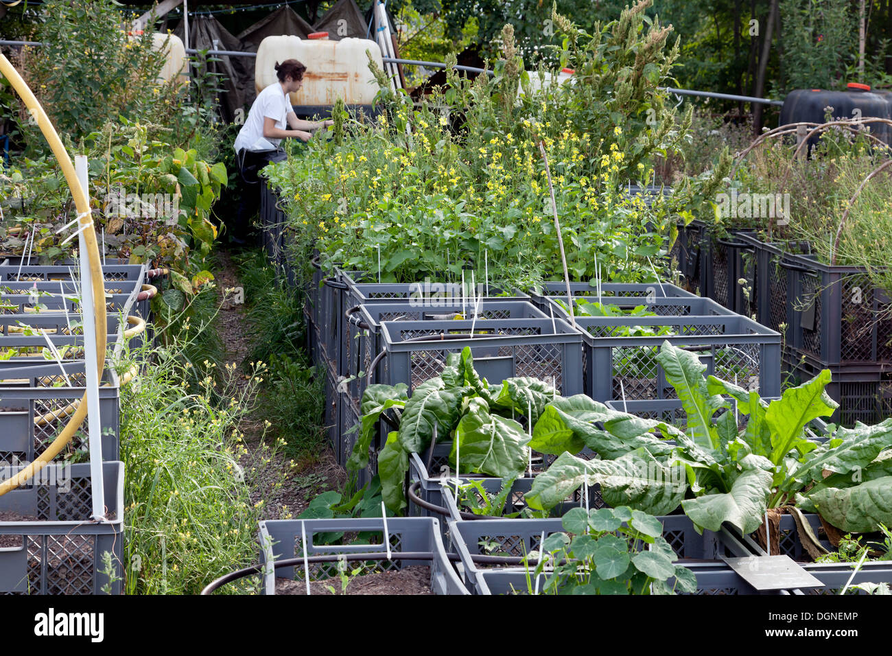 Berlin, Germany, Urban Gardening: In the Princess gardens at ...