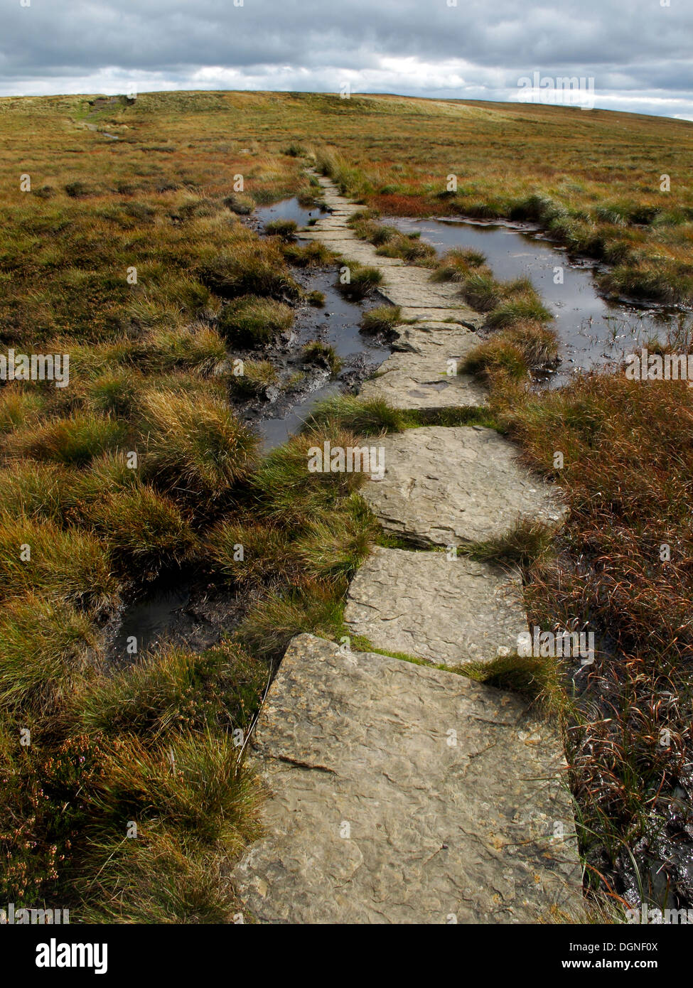 Offa's Dyke Path on the Hatterall Ridge, Black Mountains, Powys, Wales ...