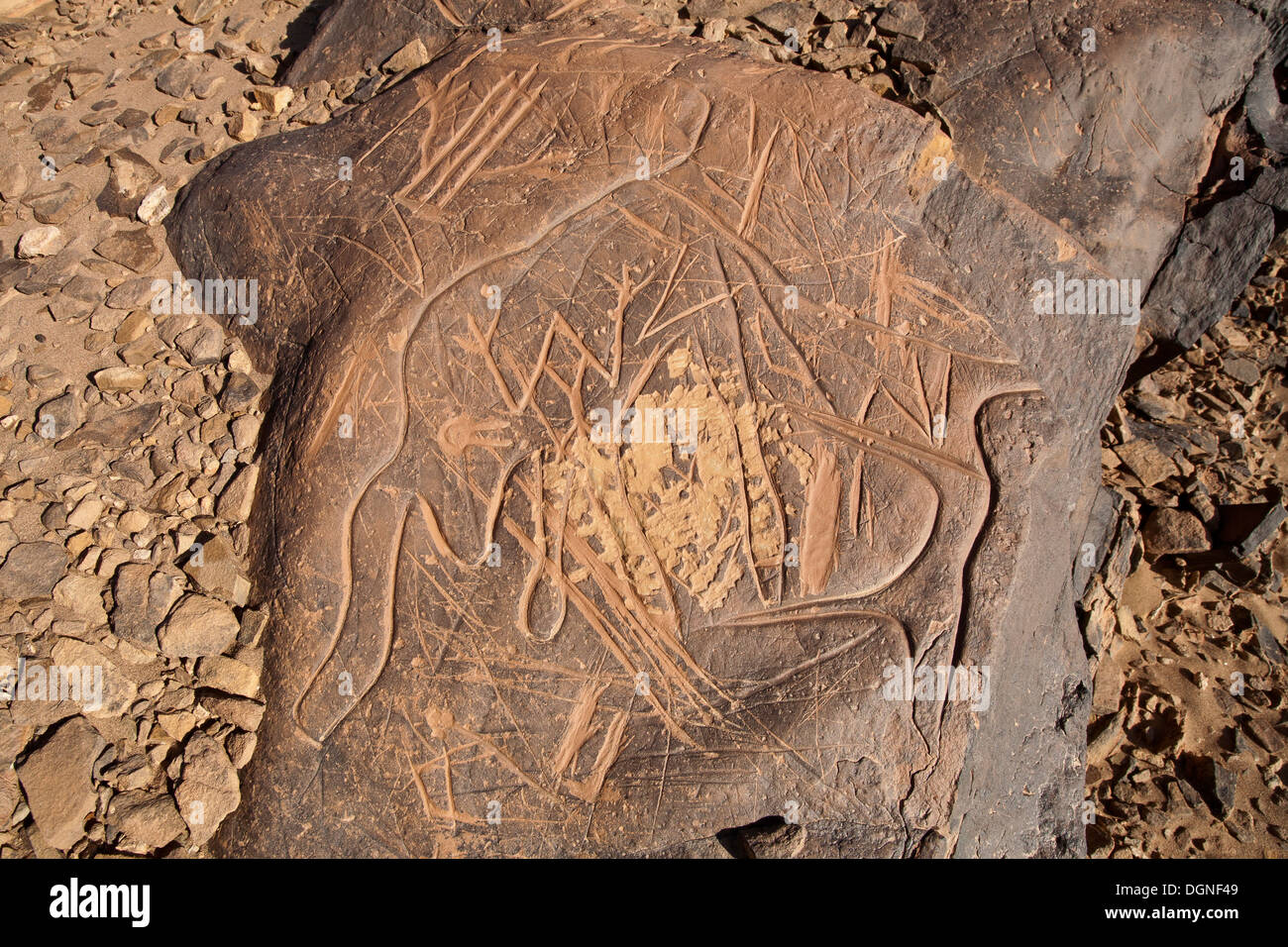 Prehistoric rock carvings at Oued Mestakou on the Tata to Akka road in ...