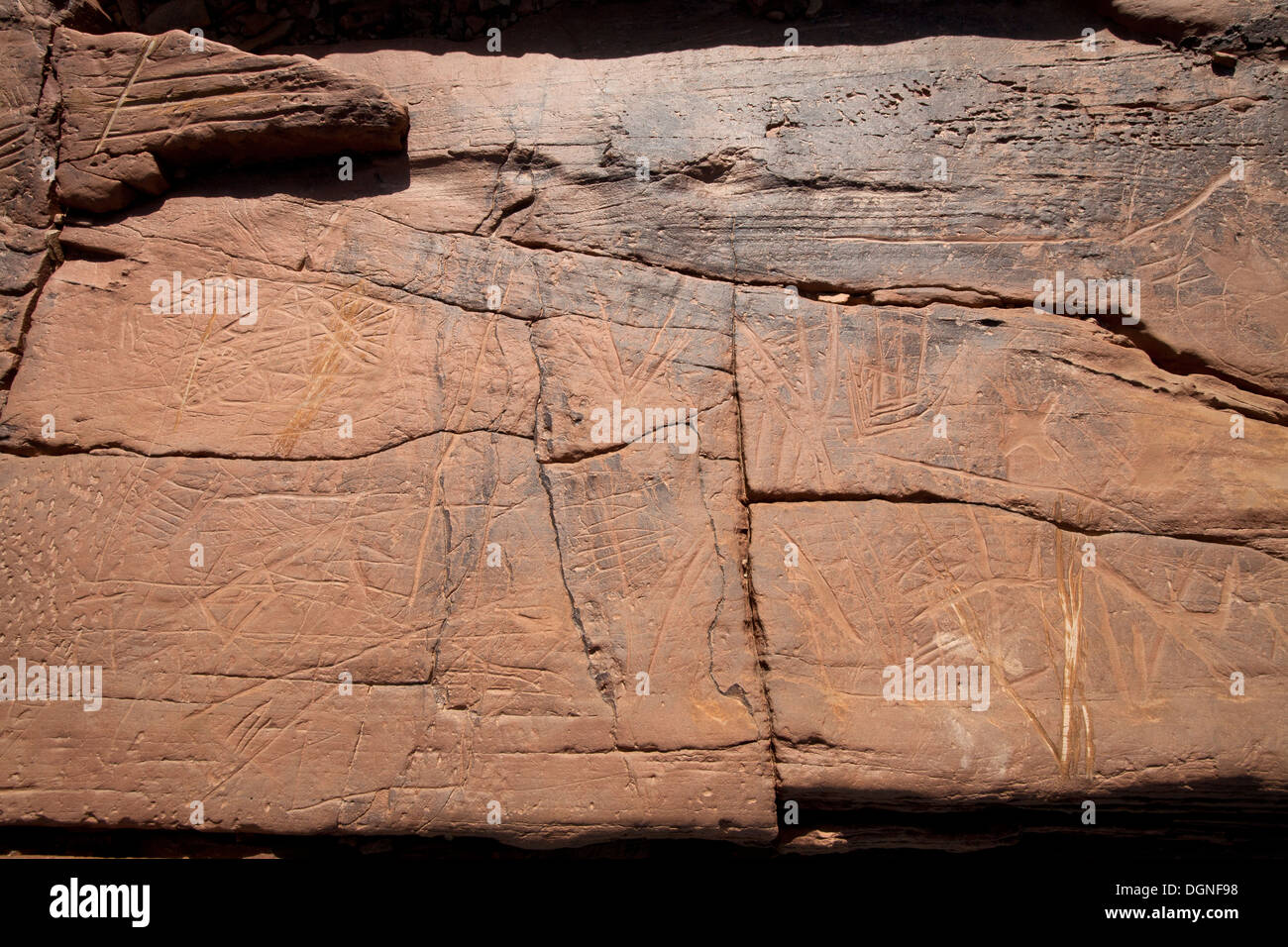 Prehistoric rock carvings at Oued Mestakou on the Tata to Akka road in ...