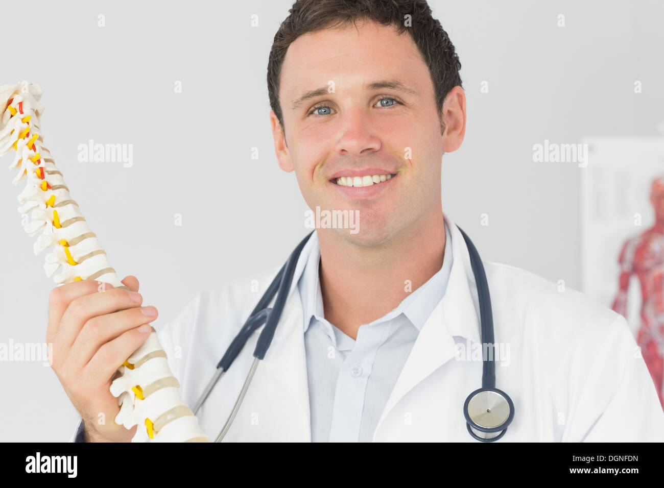 Lab skeleton hi-res stock photography and images - Alamy