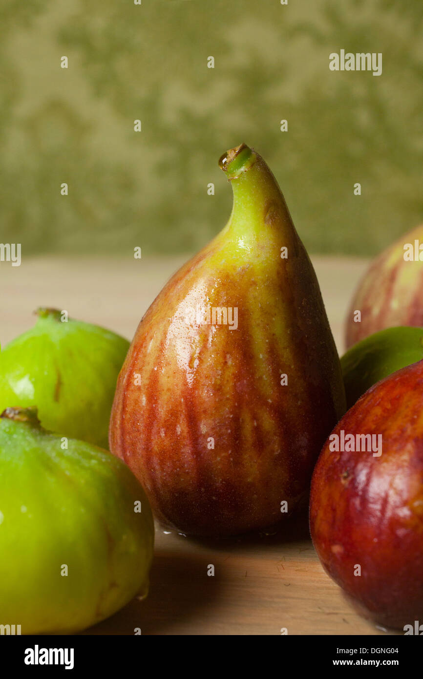 Isabella cassini Stock Photos & Images from Alamy