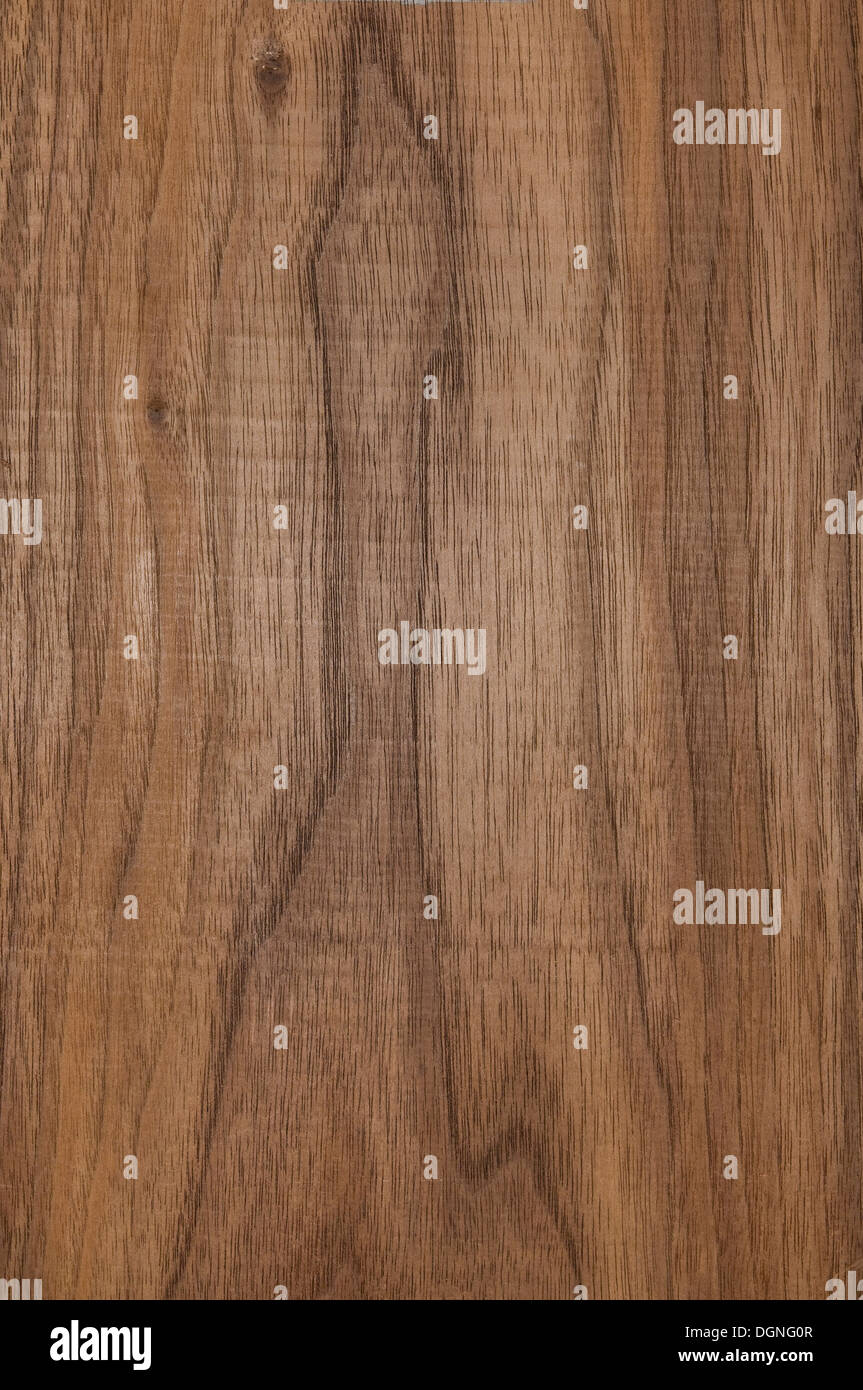 American Walnut timber Stock Photo - Alamy