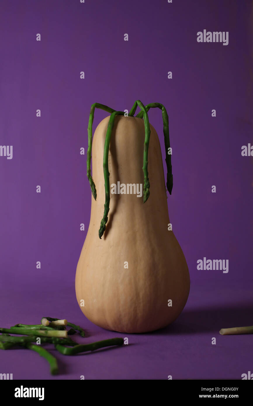 Isabella cassini Stock Photos & Images from Alamy