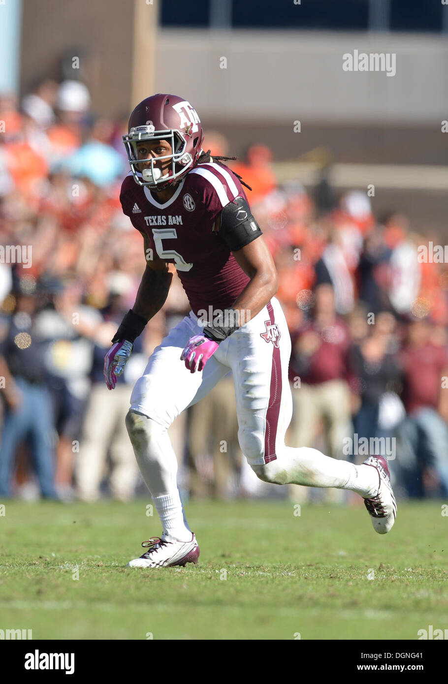 Raven sr hi-res stock photography and images - Alamy