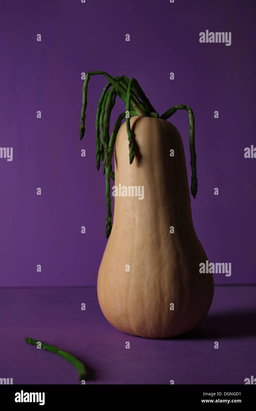 Isabella cassini Stock Photos & Images from Alamy