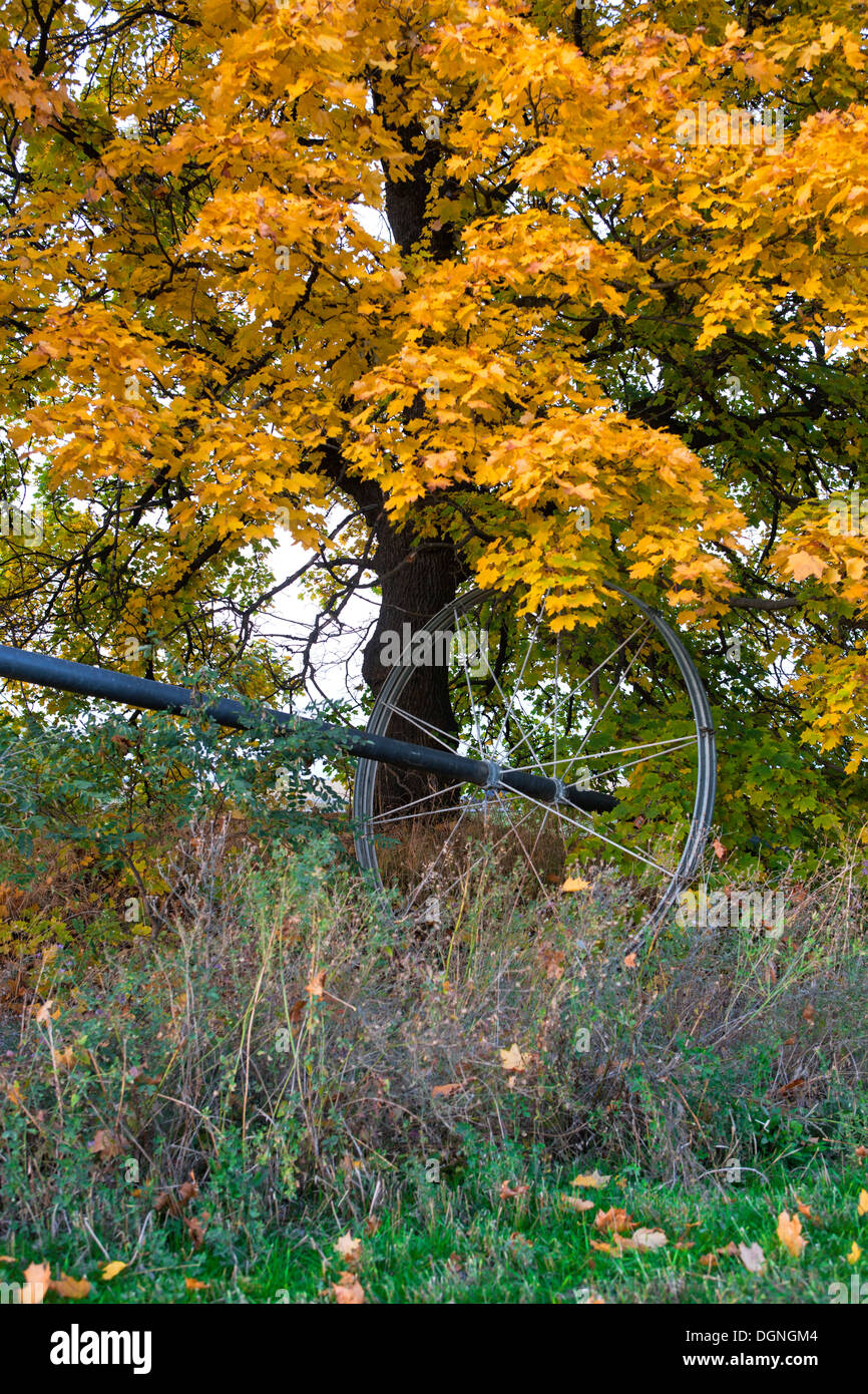 Irrigation wheel under tree Stock Photo - Alamy