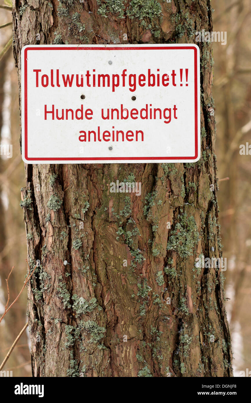 Dangers of rabies hi-res stock photography and images - Alamy