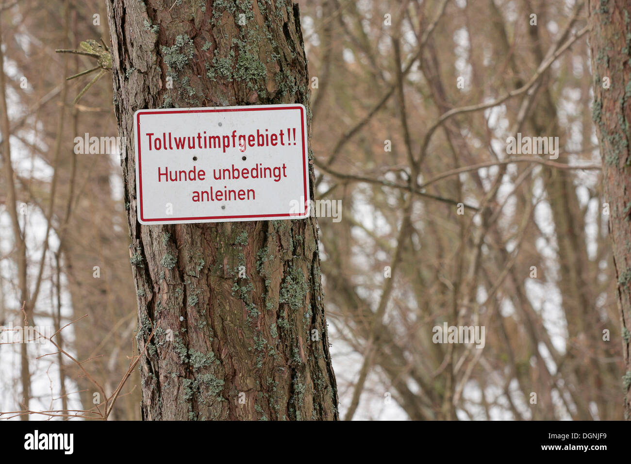 Dangers of rabies hi-res stock photography and images - Alamy