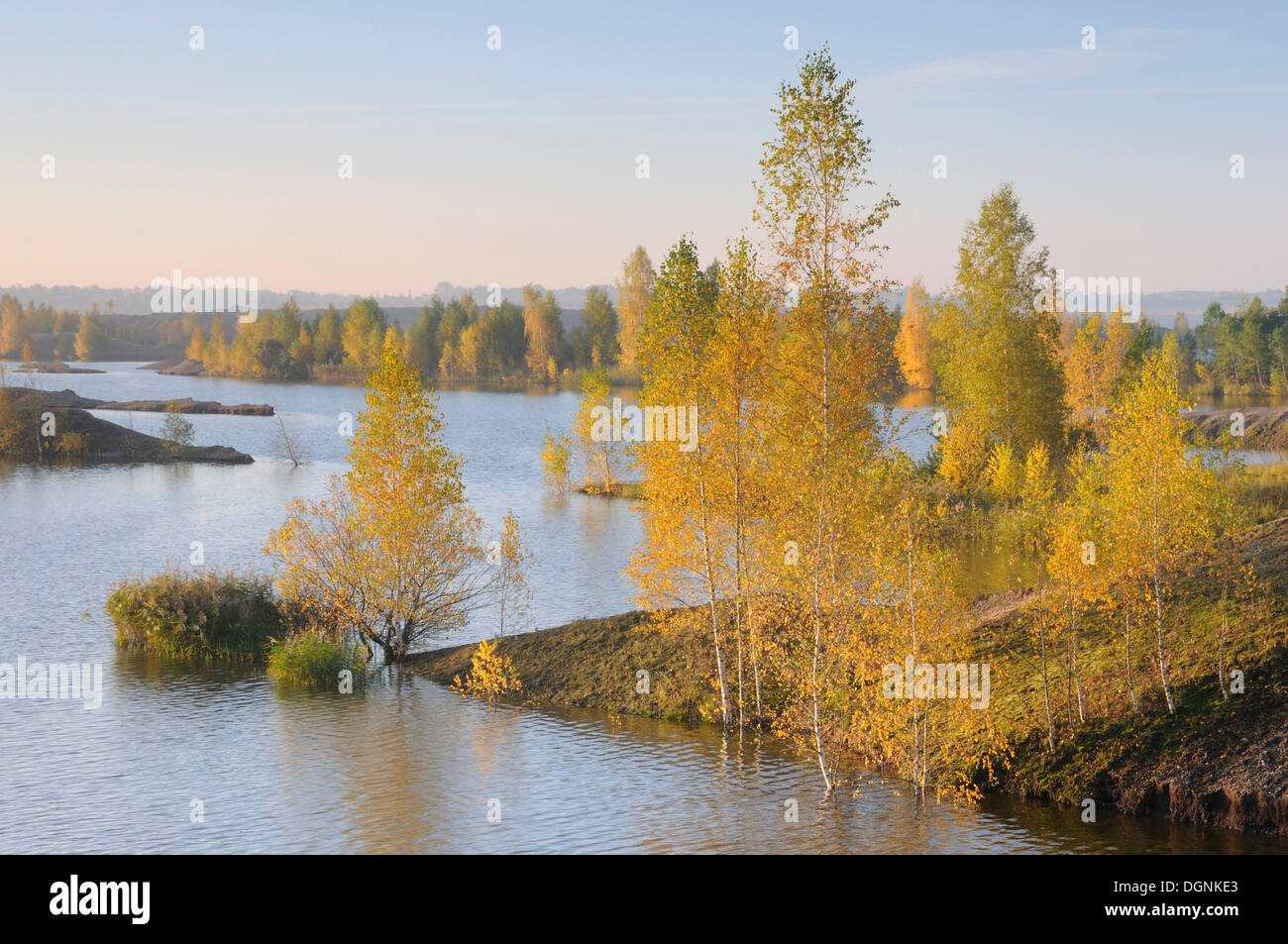 Strip mining reclamation area in autumn, Saxony Stock Photo - Alamy