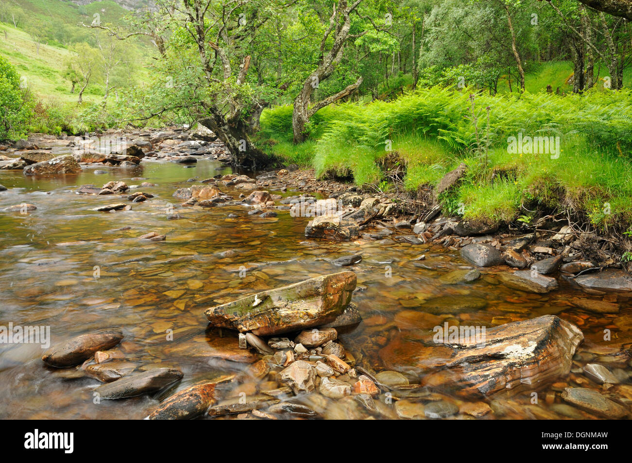 Stream in the Highlands, Scotland, United Kingdom Stock Photo - Alamy