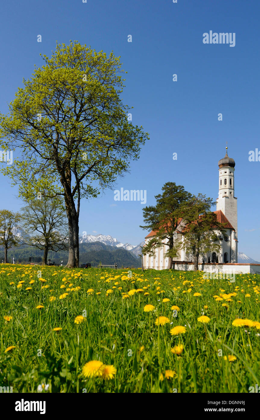 Church of St. Koloman near Fuessen, Allgaeu, Bavaria Stock Photo - Alamy