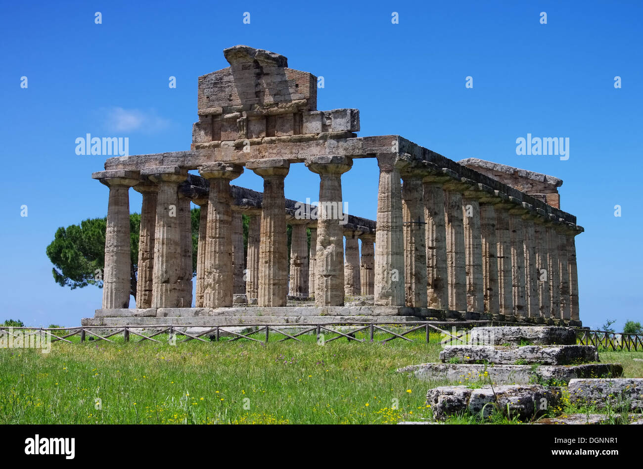 Paestum greek ruins hi-res stock photography and images - Alamy
