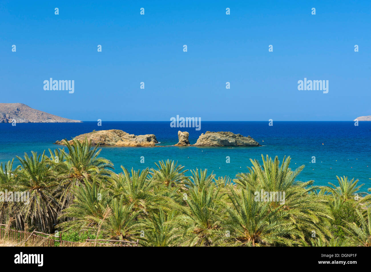 Palm beach of Vai, Crete, Greece, Europe Stock Photo - Alamy