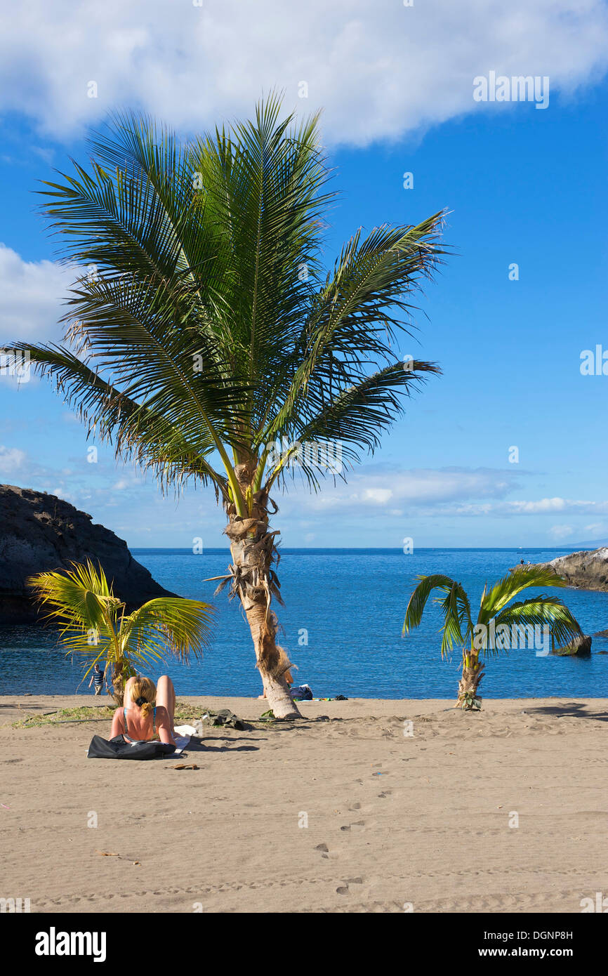 Trees 1 small palm tree hi-res stock photography and images - Alamy