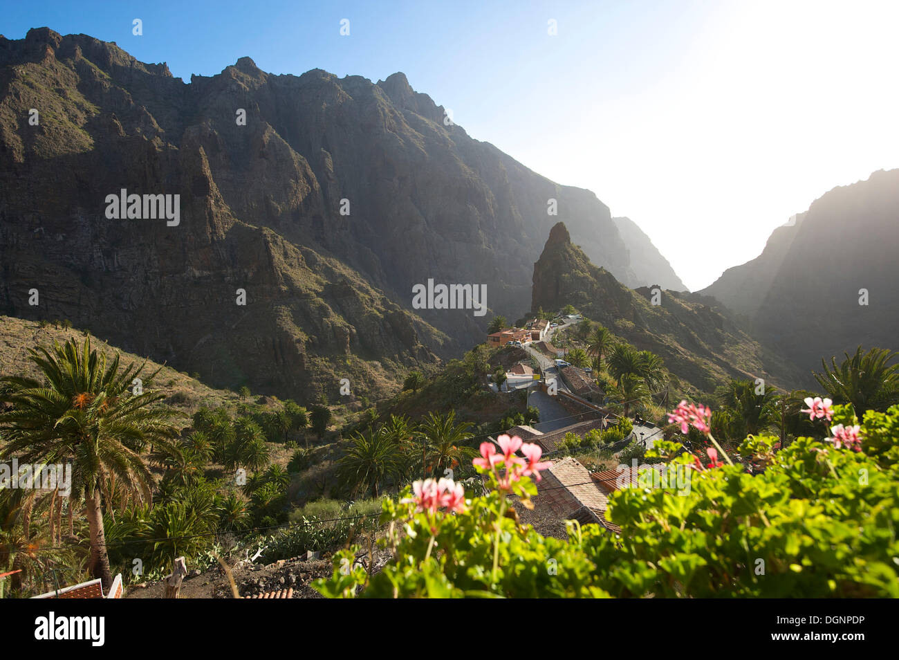 Tenerife masca hi-res stock photography and images - Alamy