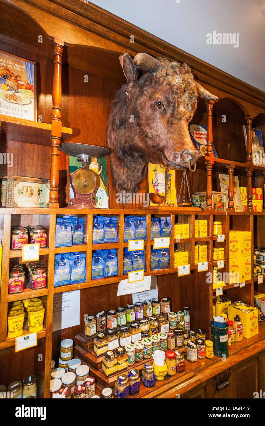 England, East Anglia, Norfolk, Norwich, The Royal Arcade, Coleman's ...