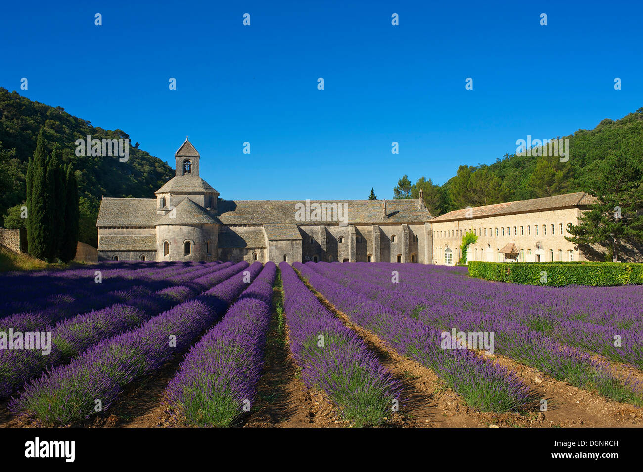 Abbaye de senanque hi-res stock photography and images - Alamy