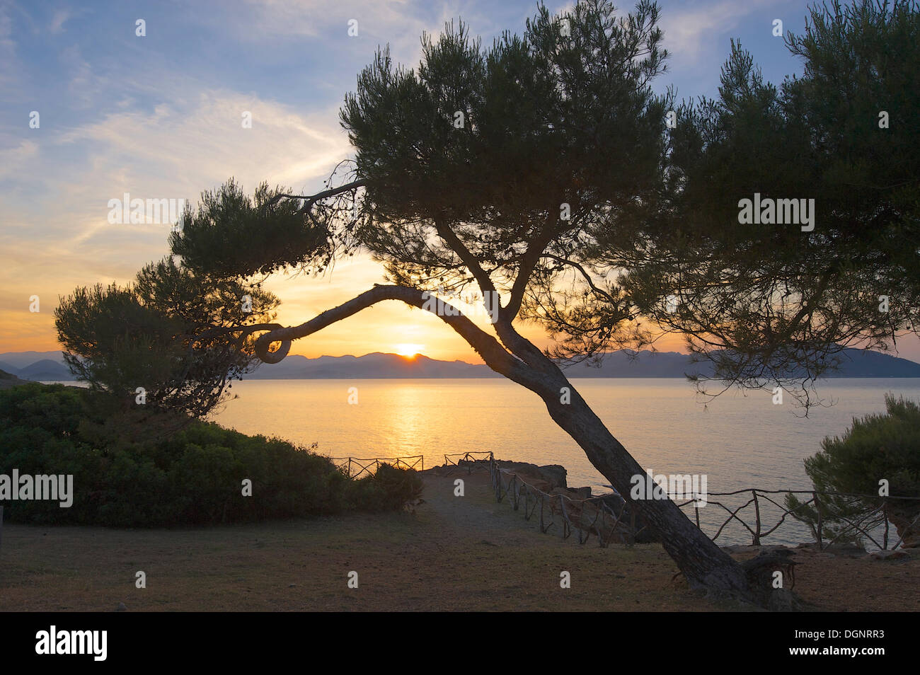 Alcudia coast hi-res stock photography and images - Alamy