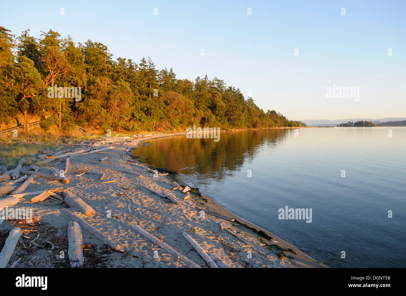 Beach at Sidney Spit, Gulf Islands National Park Reserve of Canada ...