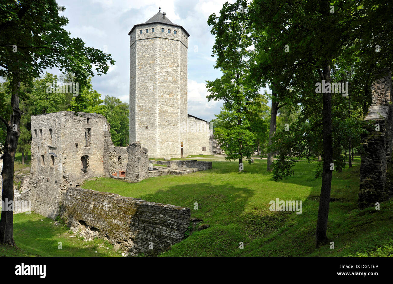 Castle Museum, ruins of the Castle of the Order of the Teutonic Knights ...
