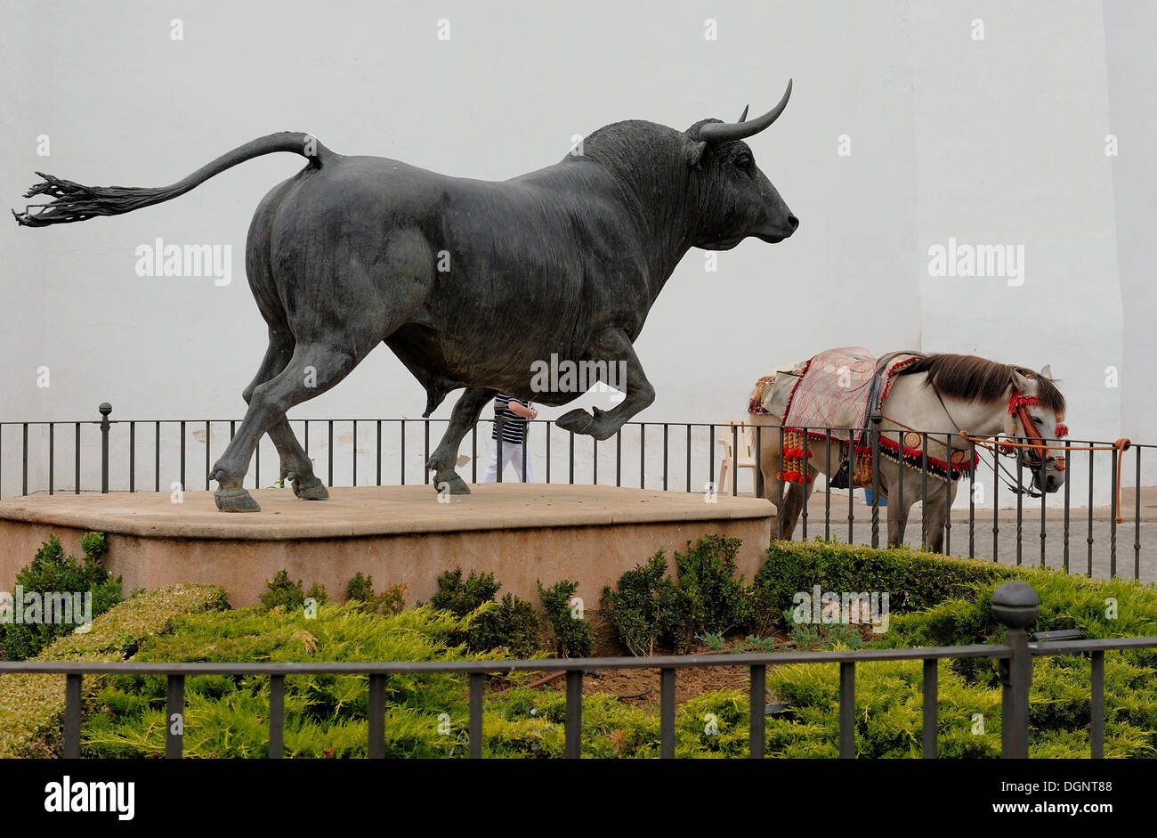 Plaza de Toros de Ronda bullring, Ronda, Andalusia, Spain, Europe Stock ...