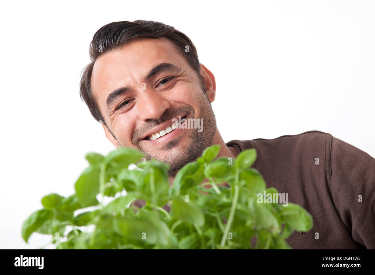 Basil 1 hi-res stock photography and images - Alamy