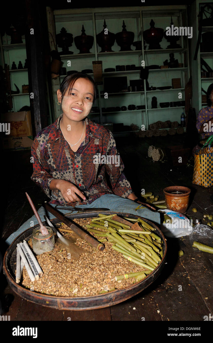 Young woman rolling the well-known cheroot cigars, Ywama, Inle Lake ...