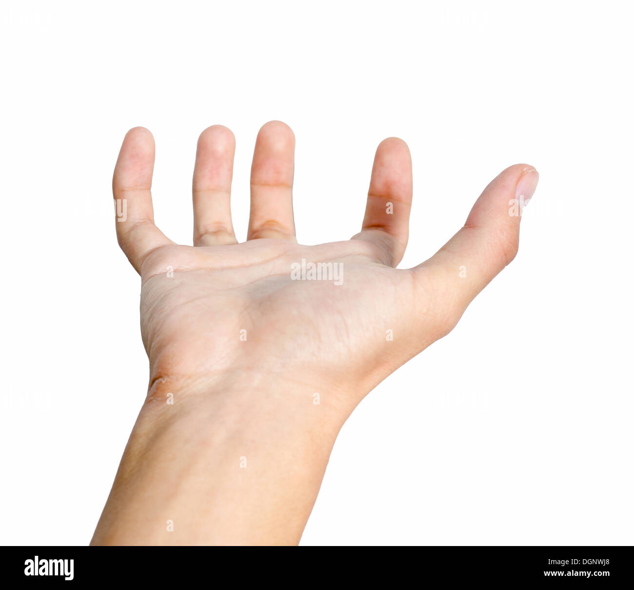 Woman hand holding something empty isolated on white background Stock ...