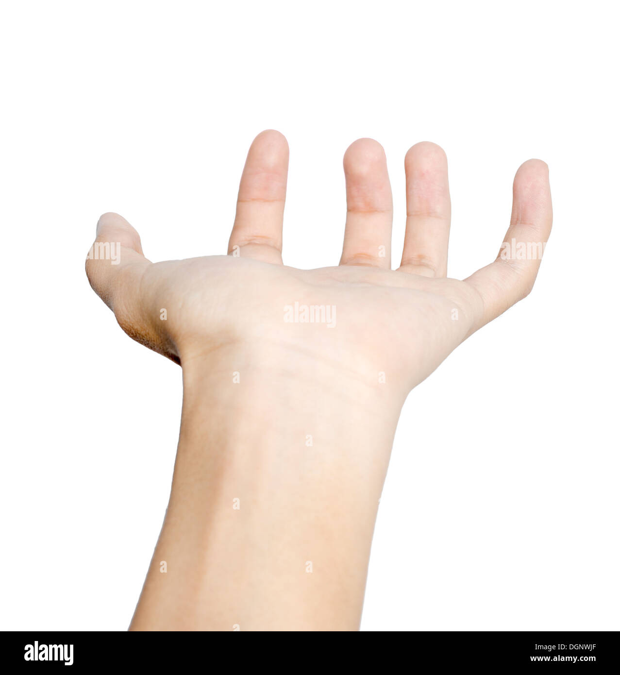 Woman hand holding something empty isolated on white background Stock ...