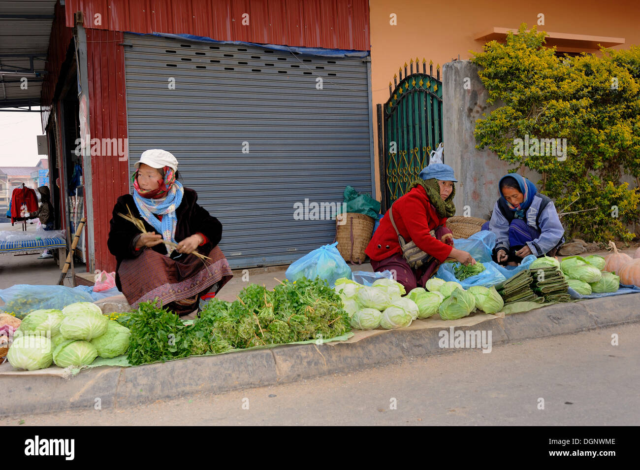 Market women selling vegetables on the market in Phonsavan, Laos ...