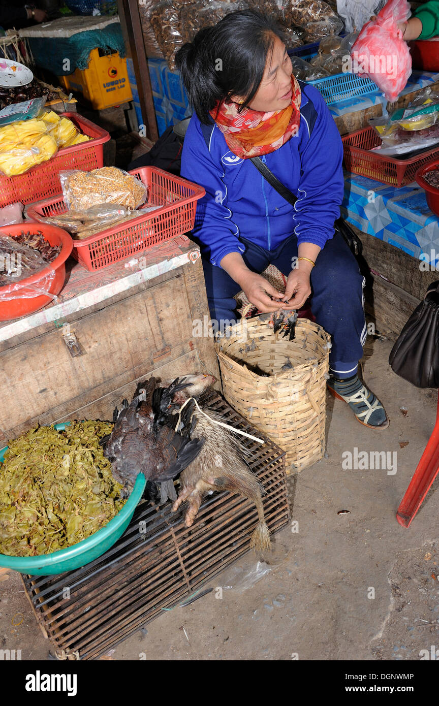 Asian meat markets hi-res stock photography and images - Alamy