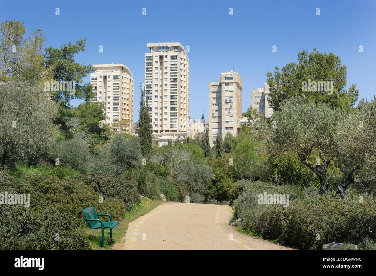 Residential skyscrapers, from Rehavia Park, West Jerusalem, Jerusalem ...